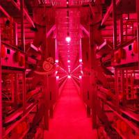 China Sufficient Water Supply Layer Chicken Cage System Complete Segregation Between Humans and Poultry for sale