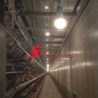 China 8-12 Tiers Layer Chicken Cage System Enhanced Poultry Well-Being for sale