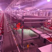 China Enhanced Health and Welfare Cage Free System for the North American Farms for sale