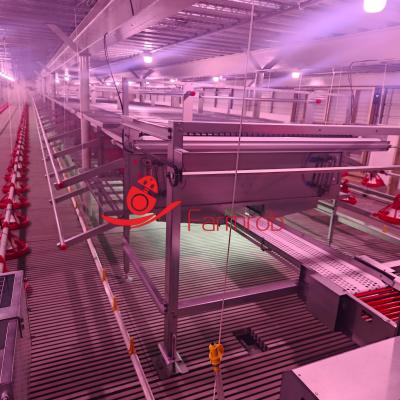 China Enhanced Health and Welfare Cage Free System for the North American Farms for sale