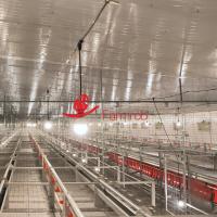 China Abundant Activity Space Cage Free System with Efficient Farm Management for sale