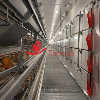 China Automated Poultry Battery Cage System for Baby Chicks 0-105 Days 11 Birds per Cage for sale