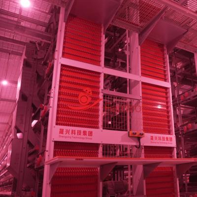 China H-Type 8-Tier Layer Chicken Cage System 700mm Story Height for Commercial Poultry Farm for sale