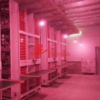 China 6-10 Tiers High Reliability Layer Chicken Cage System 700mm Story Height for Indonesia Farms for sale