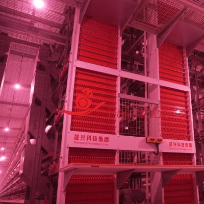 China Layer Chicken Cage System Corrosion Resistant Q235 Al Zn Alloy Automated Egg Collection 3 12 Tiers for sale