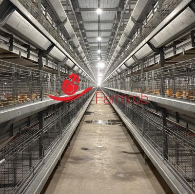 China Baby Chicks Poultry Battery Cage System H Type 700mm Height 11 Chickens per Cell for sale