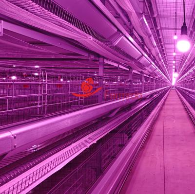China Layer Chicken Cage System Q235 Aluminum Zinc Alloy for Vietnamese Poultry Farms for sale