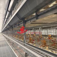 China Farmrob Baby Chicks Battery Cage System 327 cm² per Chick 0-105 Days Reduce Infection Risks for sale