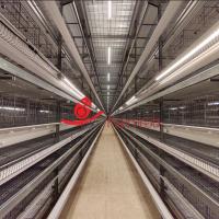 China H Type 8 Tier Laying Ducks Poultry Battery Cage System 300x500mm for sale