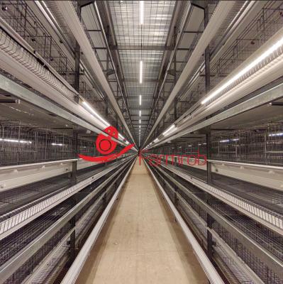 China H Type 8 Tier Laying Ducks Poultry Battery Cage System 300x500mm for sale