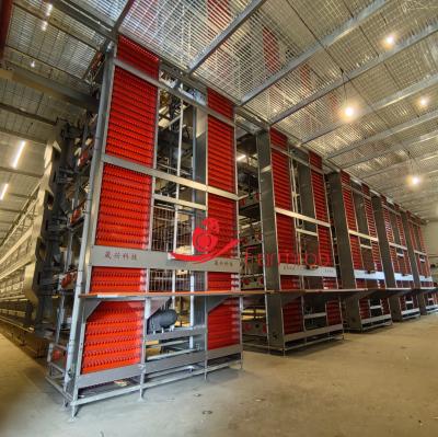 China Farmrob 3-8 Tier Automatic Battery Cage System for Commercial Laying Duck Farms for sale