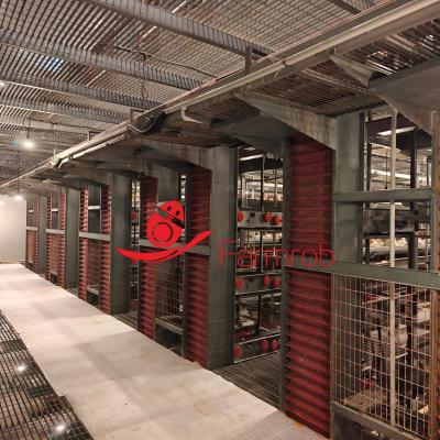 China 3 Rooms Cage Layer Chicken Cage System 1800mm Length 1300mm Width for Poultry Farm for sale