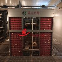 China Corrosion- and rust-resistant Layer Chicken Cage System for Thailand Farms for sale