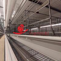 China 8 Tier Laying Duck Cage Battery System 2000 Birds Capacity Hot Dip Galvanized for sale