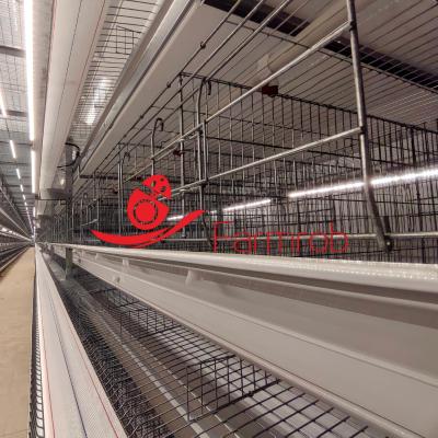 China 8 Tier Laying Duck Cage Battery System 2000 Birds Capacity Hot Dip Galvanized for sale