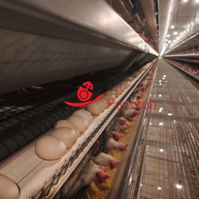 China Smart Control Layer Chicken Cage System 25-Year Lifespan Automatic Feeding Drinking for sale