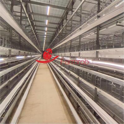 China Automatic Egg Collection Poultry Battery Cage System Al-Mg-Zn Alloy 15-20 Years Service Life for sale