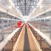 China 3-4 Tiers Manual Catching Broiler Cage System with Enough Space for sale