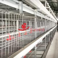 China Automatic Harvesting Broiler Cage System for Healthy Growth for sale