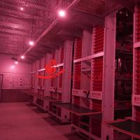 China H Frame Layer Chicken Cage System 25 Year Service Life Al Mg Zn Alloy for sale