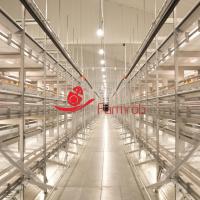 China 30000 Birds Cage Free Poultry System with Natural Behavior Support for sale