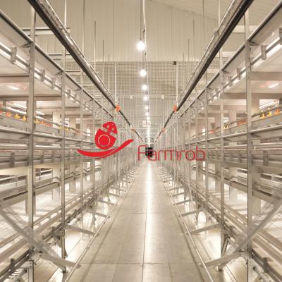 China 30000 Birds Cage Free Poultry System with Natural Behavior Support for sale