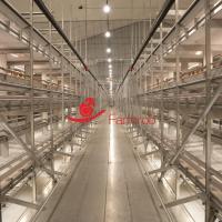 China Farmrob Cage Free Poultry System 10000 Birds Capacity Al-Zn Alloy Platforms for sale