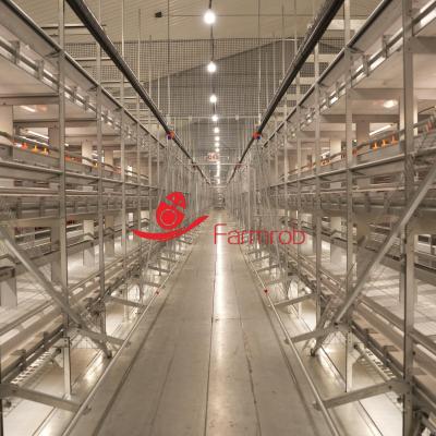 China Farmrob Cage Free Poultry System 10000 Birds Capacity Al-Zn Alloy Platforms for sale