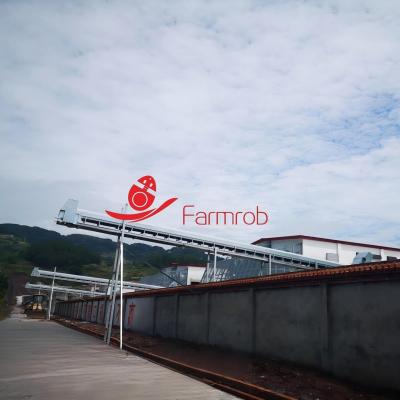 China Effective Manure Removal Solutions Layer Chicken Cage System Environment-friendly Farms for sale