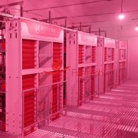 China 80000 Birds Layer Chicken Cage System with Innovative Design and durable Construction for sale