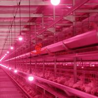 China Structural Strength Layer Chicken Cage With Anti-Corrosion Performance for sale
