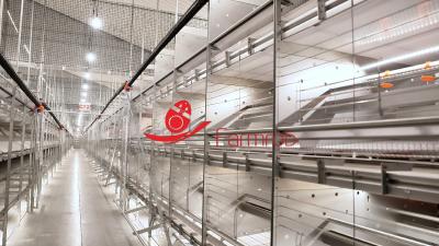China Durable Cage Free System Promoting Natural Perching And Nesting with Enhanced Performance for sale