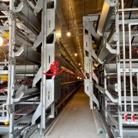 China 6 Tiers Heavy-duty Poultry Battery Cage System Stable Structural Support for sale