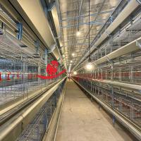 China 80000 birds Poultry Battery Cage System Durable And Corrosion-Resistant Structure For Stable Operation for sale