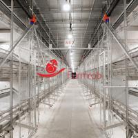 China Enough Activity Environment Cage Free System For Stress Reduction for sale