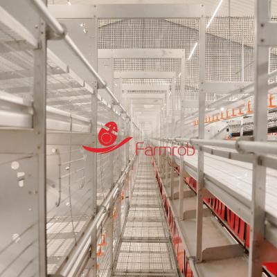 China Long-term Using Cage Free System With Superior Corrosion Resistance And Performance for sale