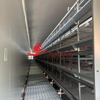 China Operational Cost Reduction Poultry Battery Cage System For Indonesian Poultry Farms for sale