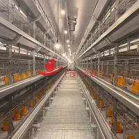 China Multi-Tier Robust Structure Poultry Battery Cage System Suitable for Large Poultry Farms for sale