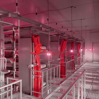 China 8 Tiers Layer Chicken Cage System With Comfortable Environment For Vietnamese Farms for sale