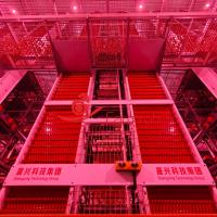 China 6 Tiers Layer Chicken Cage System with Automatic Feeding Drinking Manure Removal 700 Mm Tier Height and Over 15 Years Service Life for sale