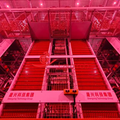 China 6 Tiers Layer Chicken Cage System with Automatic Feeding Drinking Manure Removal 700 Mm Tier Height and Over 15 Years Service Life for sale