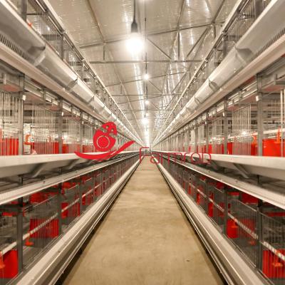 China Breeder Cage For Natural Mating Poultry Battery Cage System Featuring Alloy Material For Long Term Durability for sale