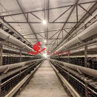 China Artificial Insemination Breeder Cage Poultry Battery Cage System Developed To Enhance Poultry Farming Efficiency By Combining Automation With Ergonomic Cage Design for sale