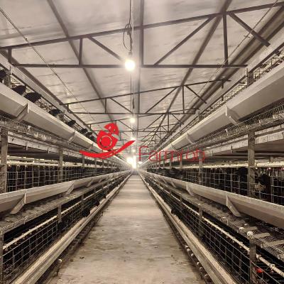 China Artificial Insemination Breeder Cage Poultry Battery Cage System Developed To Enhance Poultry Farming Efficiency By Combining Automation With Ergonomic Cage Design for sale