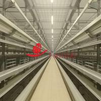 China High-quality Layer Chicken Cage System Offering End To End Control Over Manufacturing Process Delivering Consistent And Poultry Housing Equipment for sale