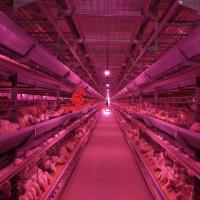 China 6-12 Tiers Layer Chicken Cage System Developed With Focus On Durability And Consistent To Support And Sustainable Layer Chicken Production Systems for sale