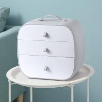 China Convenient Storage Solution Dust-Proof Plastic Storage Box for Underwear and Socks for sale