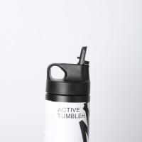 China 304 Stainless Steel Japandi Design Style 550ml Double Wall Vacuum Flask With Handle for sale