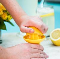 China Effortlessly Extract Juice with 8*11CM 85g Portable Plastic Lime Squeezer for sale