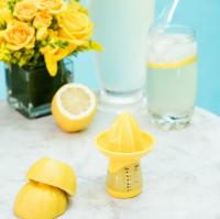 China Effortlessly Extract Juice with 8*11CM 85g Portable Plastic Lime Squeezer for sale